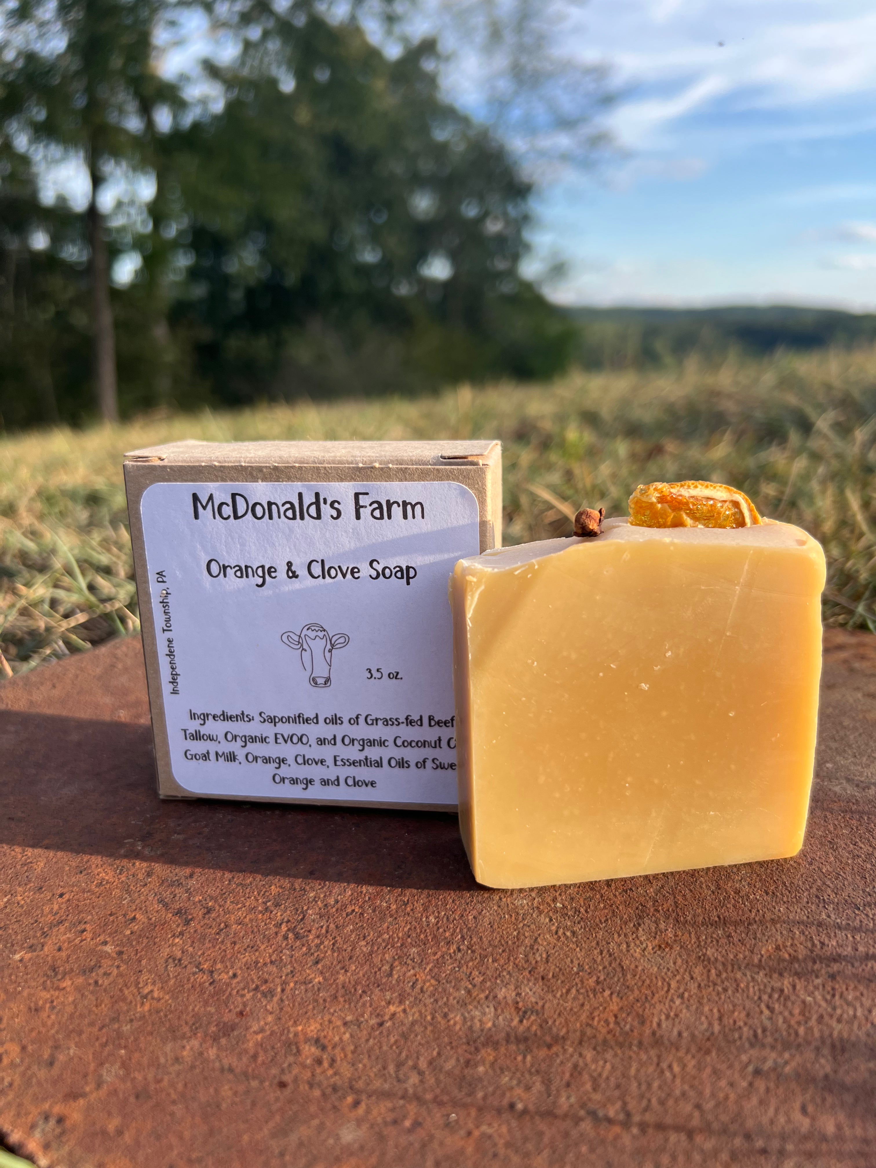Orange & Clove Soap – McDonald's Farm