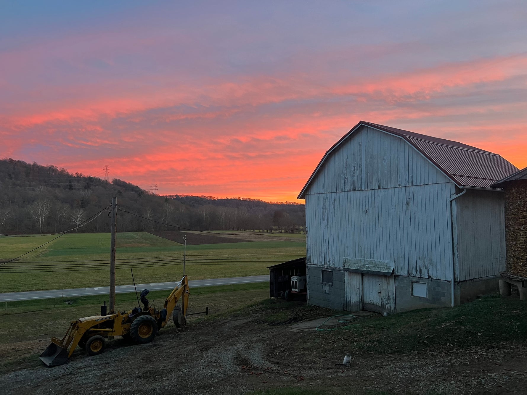 McDonald's Farm – McDonald's Farm